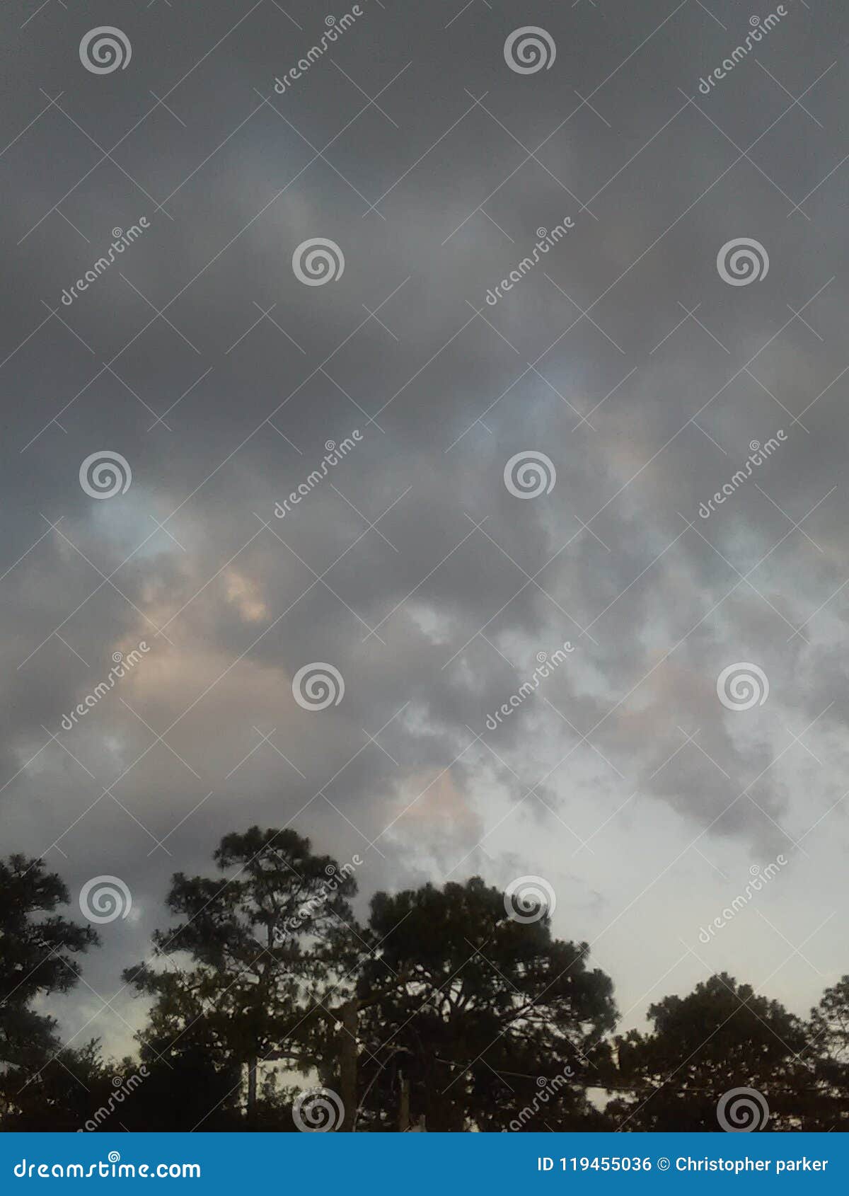 Noon sky stock photo. Image of noon, clouds, trees, beautiful - 119455036