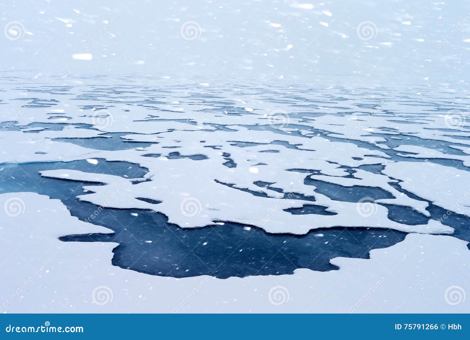 Noordpool gletsjer stock foto. Image of gebied, geleidelijk - 75791266