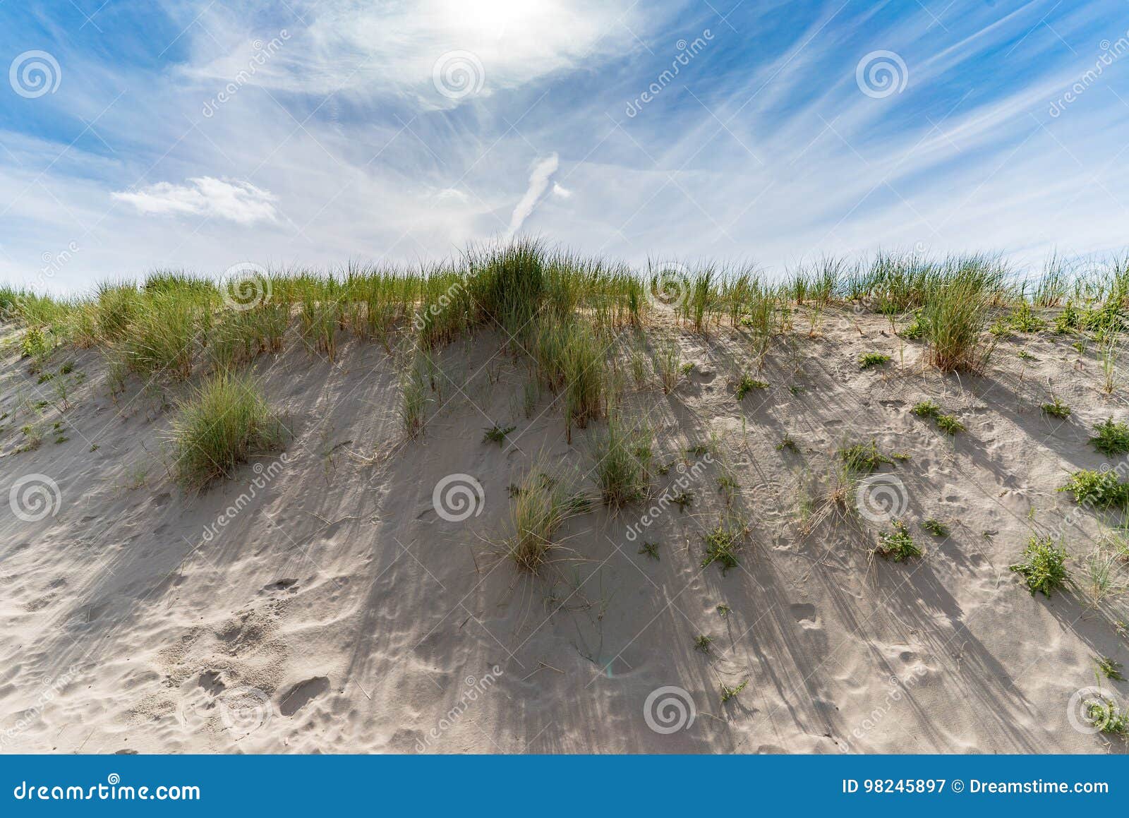 Dunes of Noordwijk Aan Zee, the Netherlands Stock Image - Image of blue ...