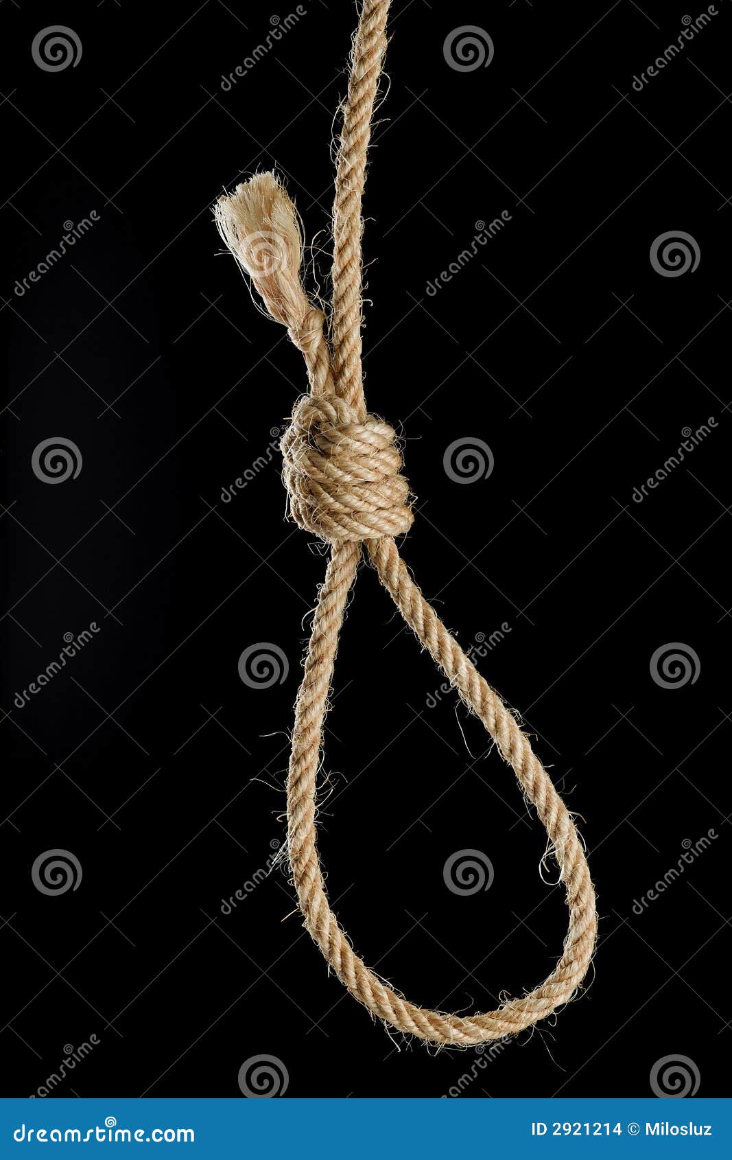 Noose stock photo. Image of knot, death, hanging, noose - 2921214