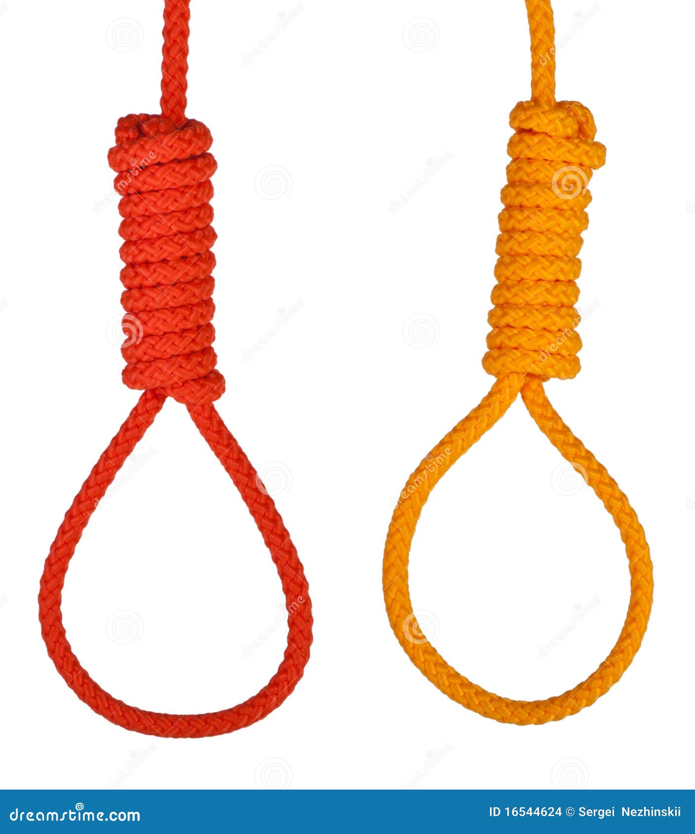 Noose isolated on white stock photo. Image of death, frame - 16544624