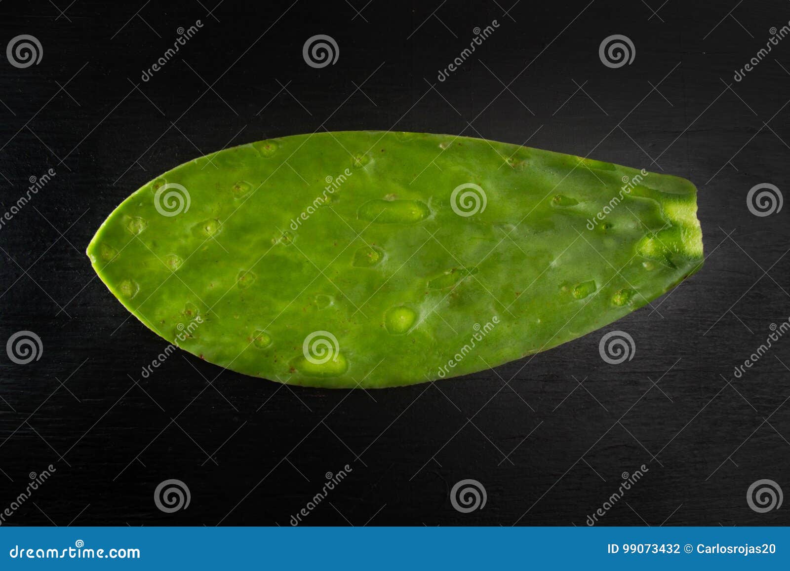 Nopal cactus stock photo. Image of edible, sharp, nopales - 99073432