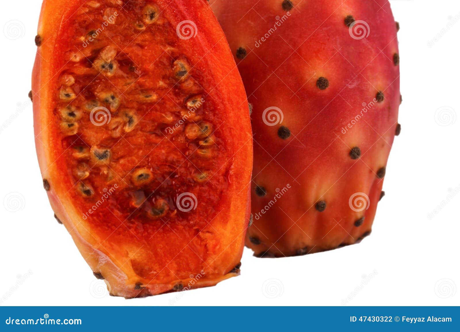 Nopal on the White Background and Macro Style Stock Photo - Image of ...