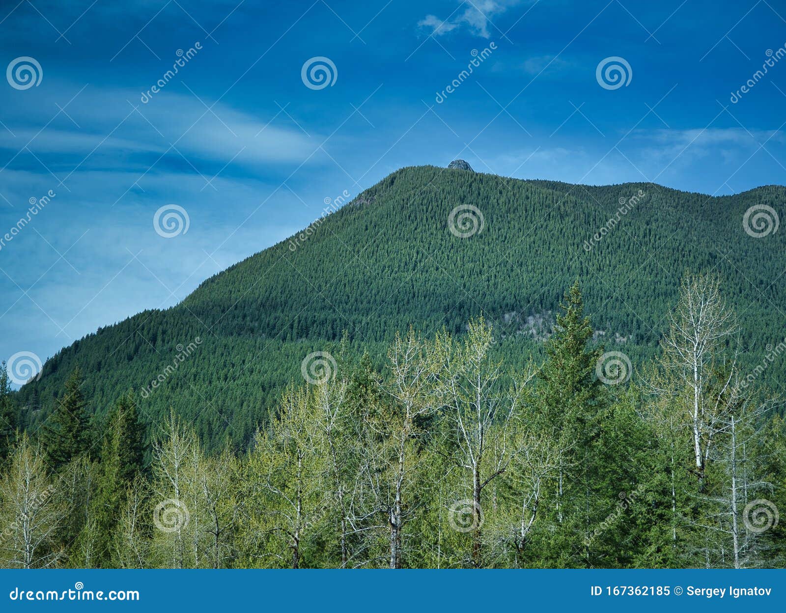 Snoqualmie Ridge stock image. Image of diego, eastern - 167362185