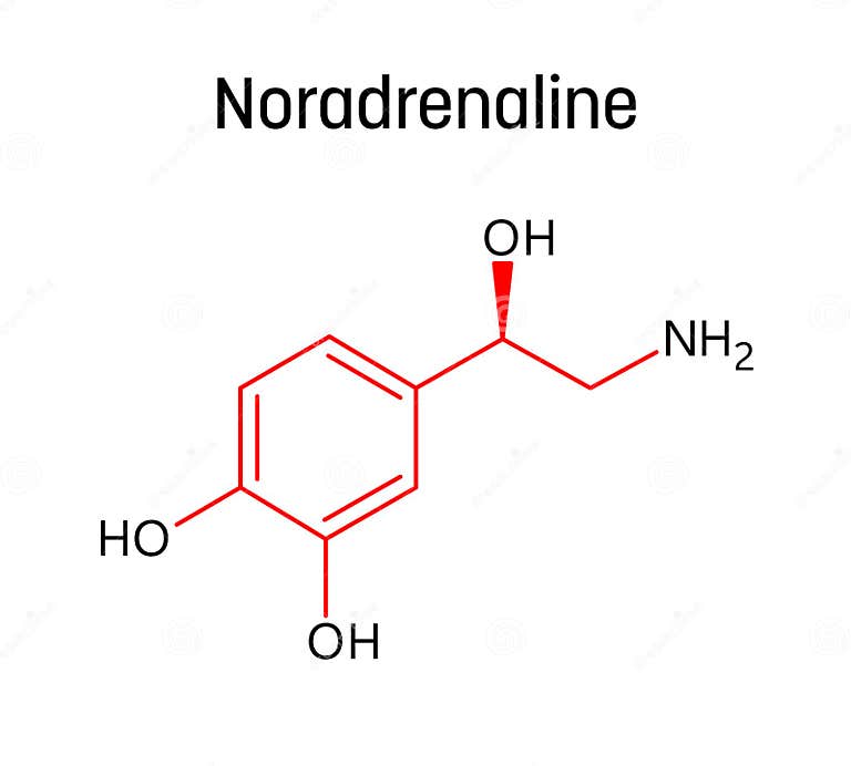 Noradrenaline Structural Formula of Molecular Structure Stock ...