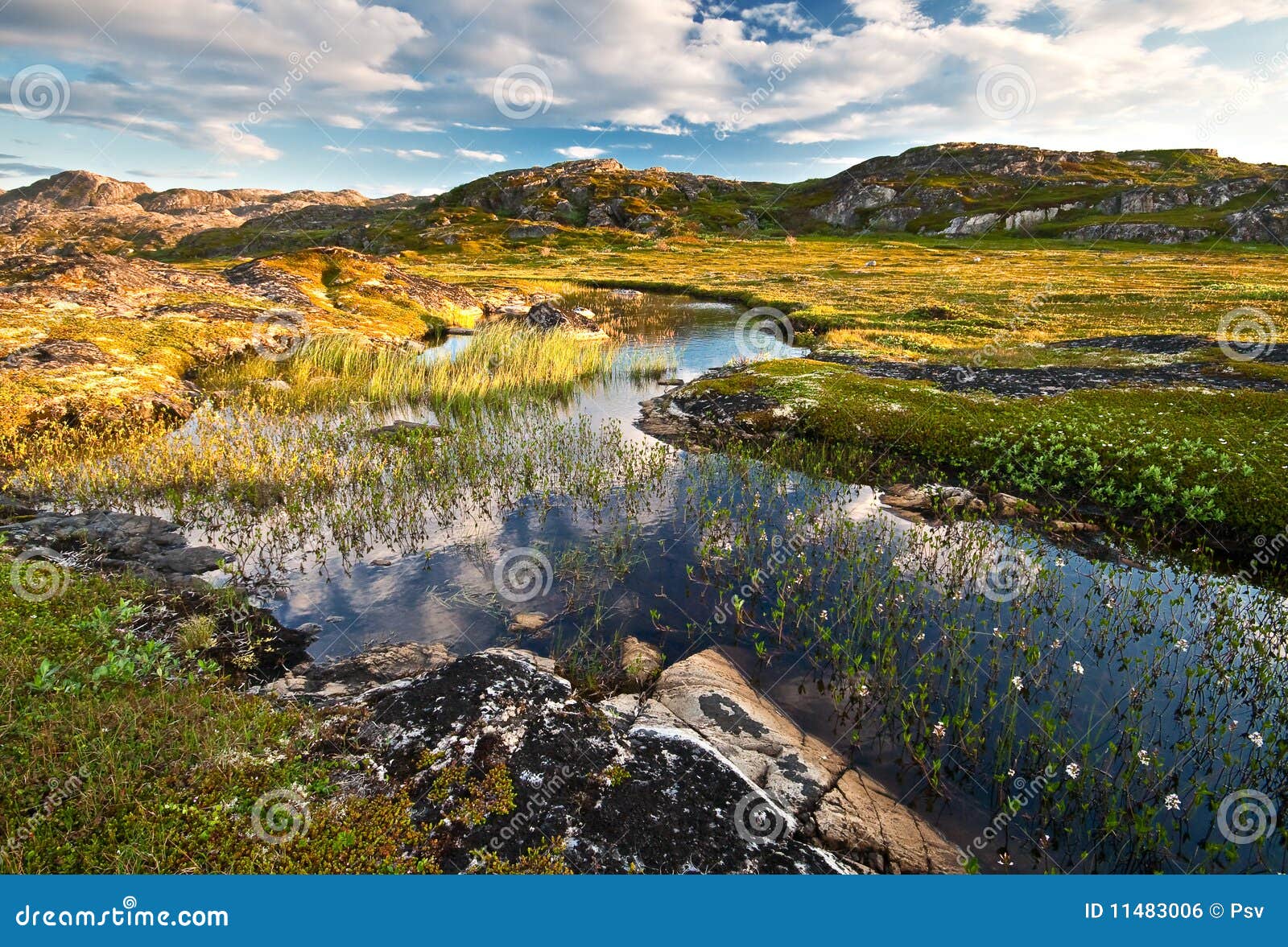 Nord lake stock photo. Image of night, area, plant, landscape - 11483006