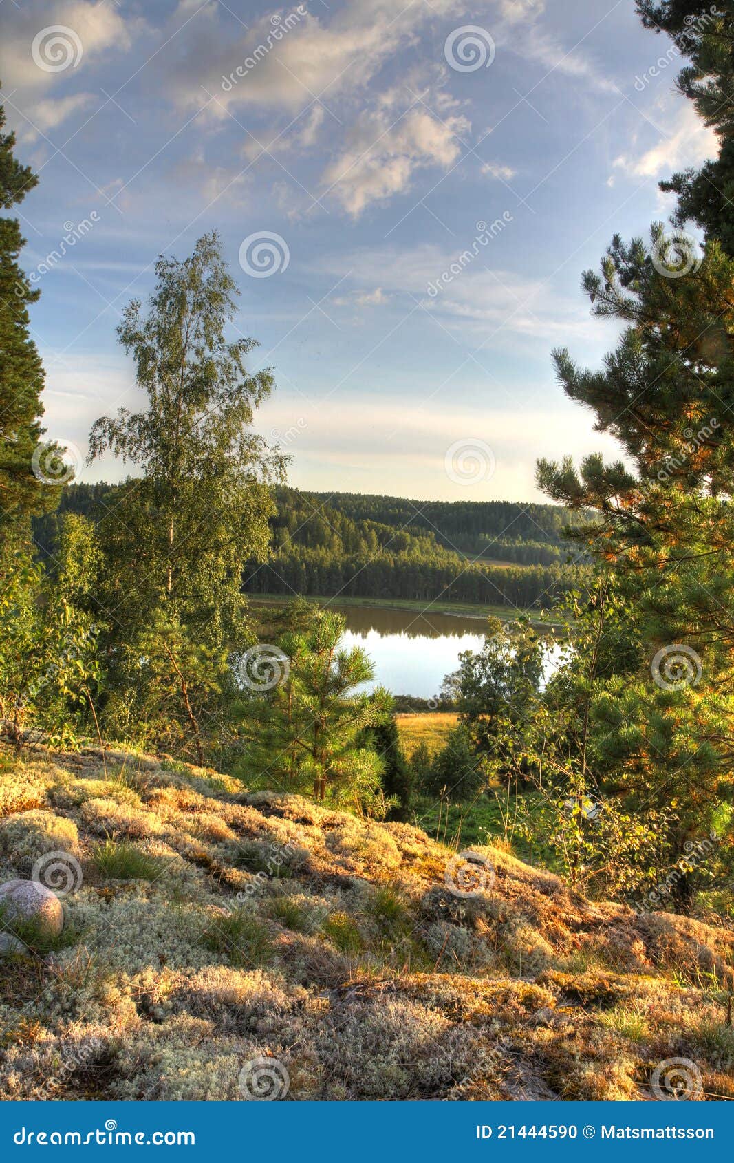 Nordic autumn stock photo. Image of moss, scenic, landscape - 21444590