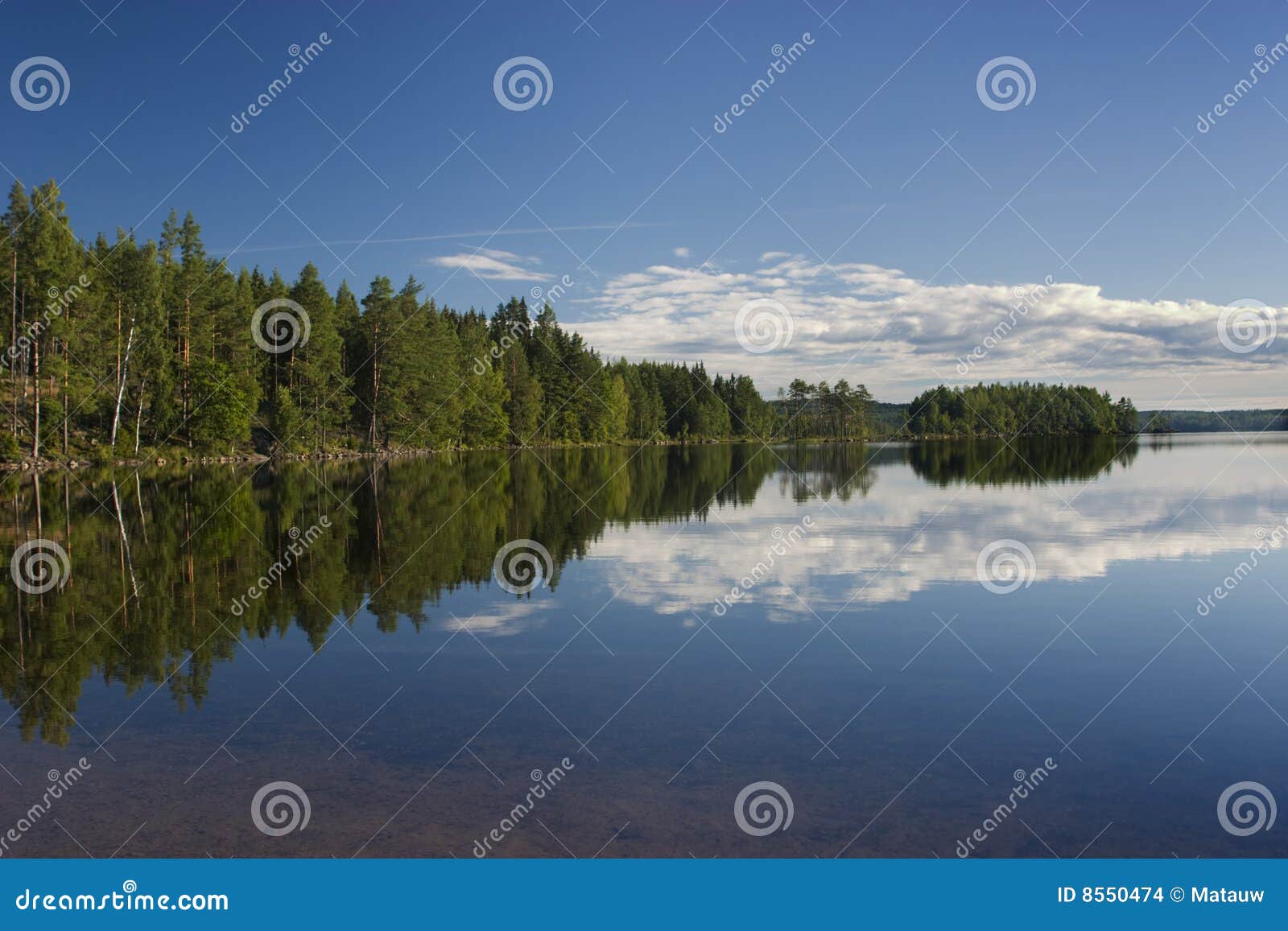 Nordic lake stock photo. Image of sweden, water, pure - 8550474