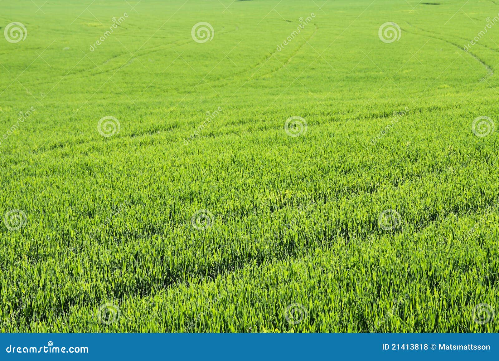 Nordic spring stock photo. Image of landscape, finnish - 21413818