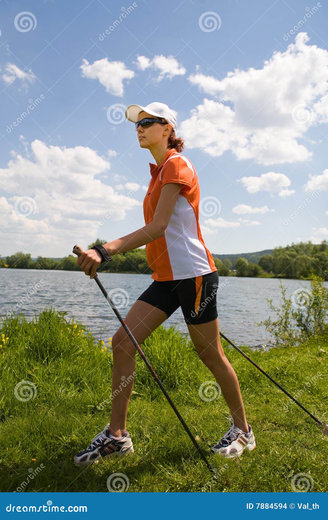 Nordic walking stock photo. Image of adult, sports, action - 7884594