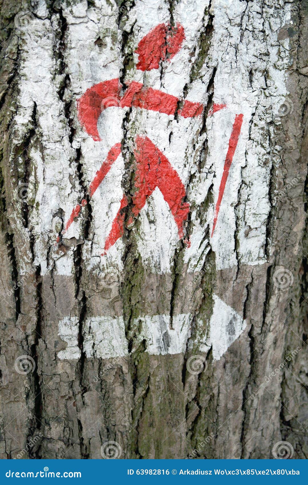 Nordic Walking Signature on the Tree Stock Photo - Image of signature ...