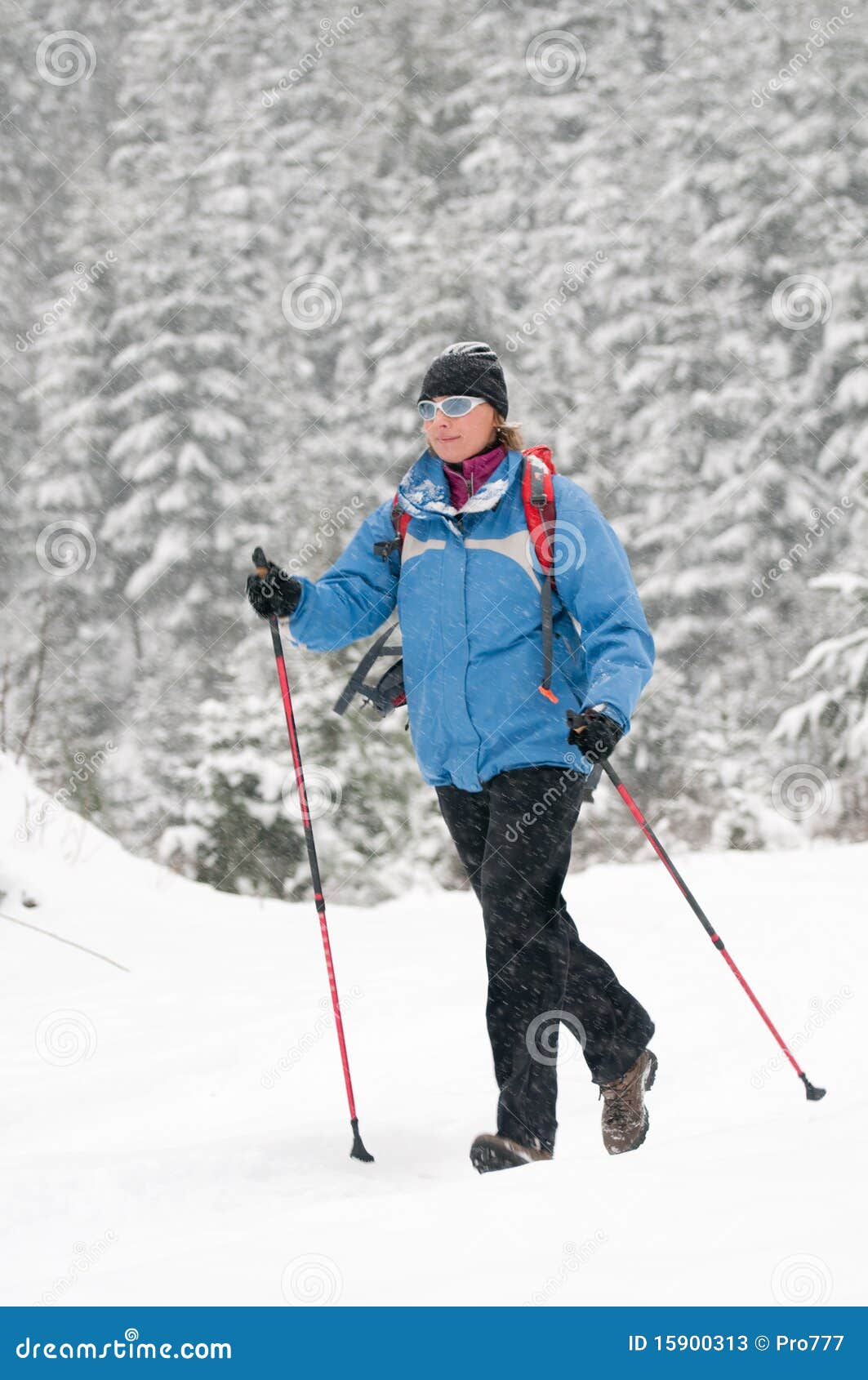 Nordic walking in snow stock image. Image of active, lifestyle - 15900313