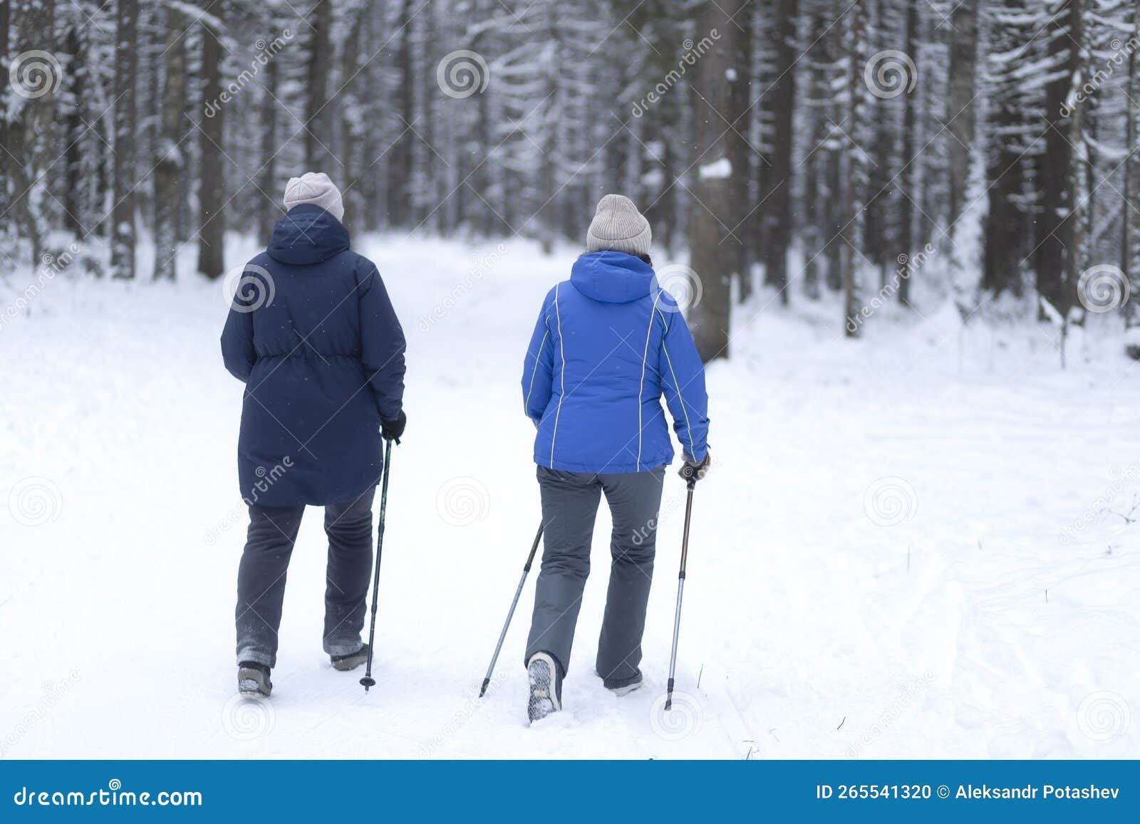 Nordic Walking in Winter in the Forest.a Walk in the Winter Forest ...