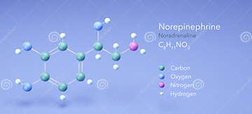 Norepinephrine Molecular Structures, Noradrenaline 3d Model, Structural ...
