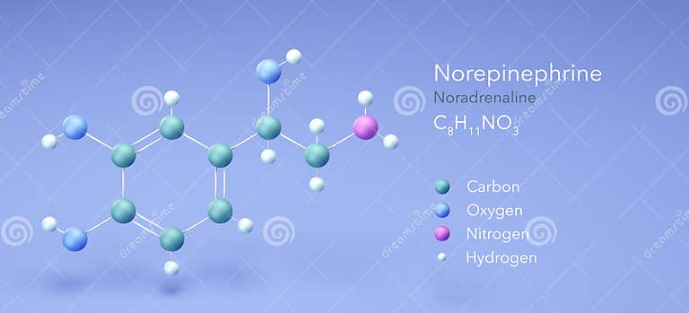 Norepinephrine Molecular Structures, Noradrenaline 3d Model, Structural ...