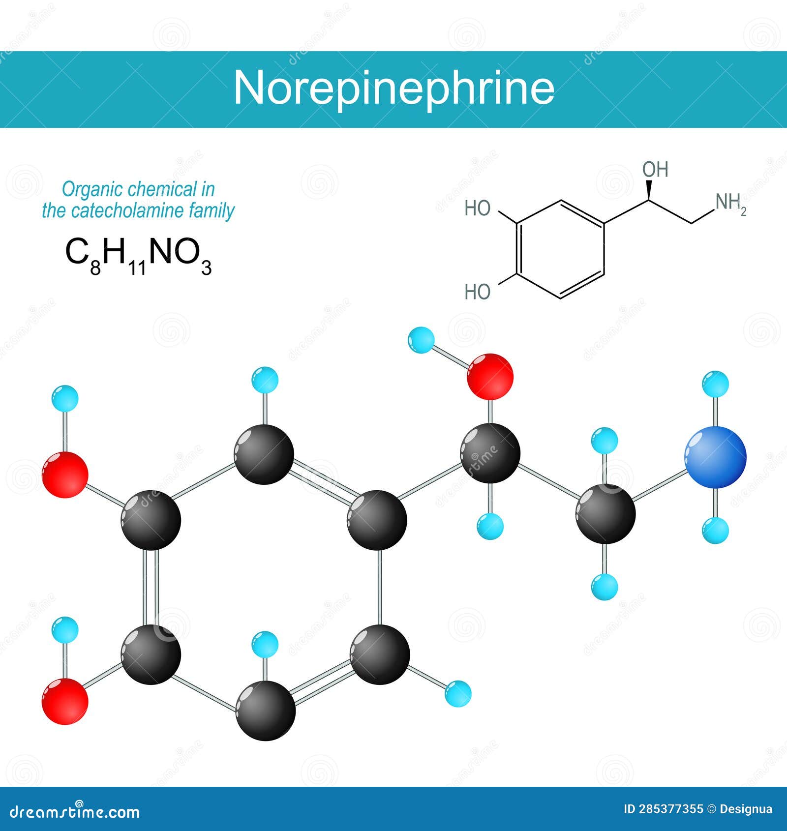 Norepinephrine molecule stock vector. Illustration of skeletal - 285377355