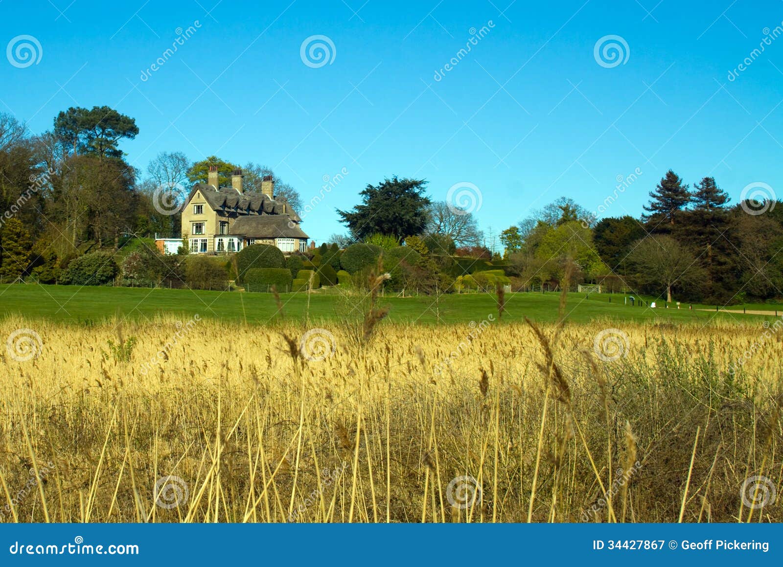 Norfolk Countryside stock image. Image of meadow, landscape - 34427867