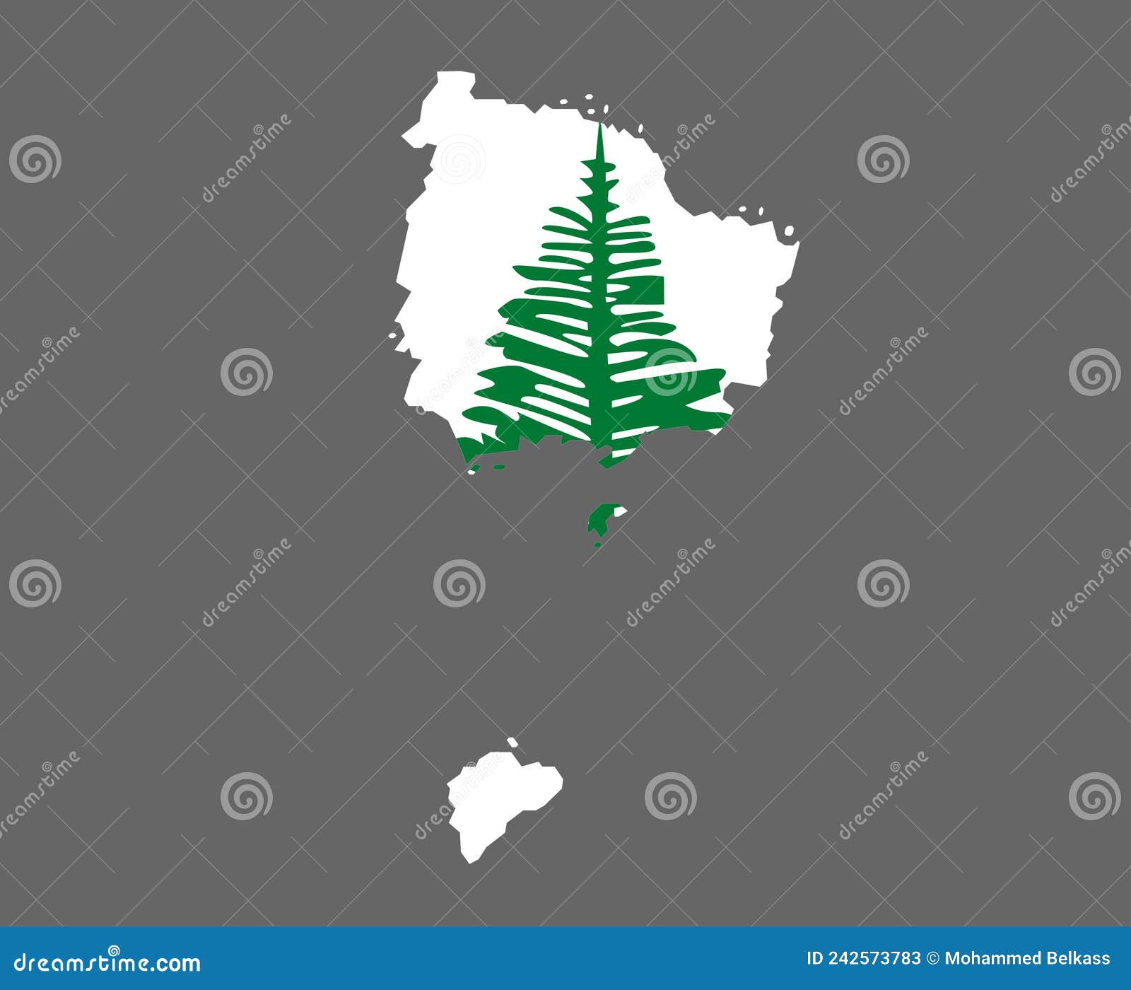 Norfolk Island Flag National Oceania Emblem Map Icon Vector Stock ...
