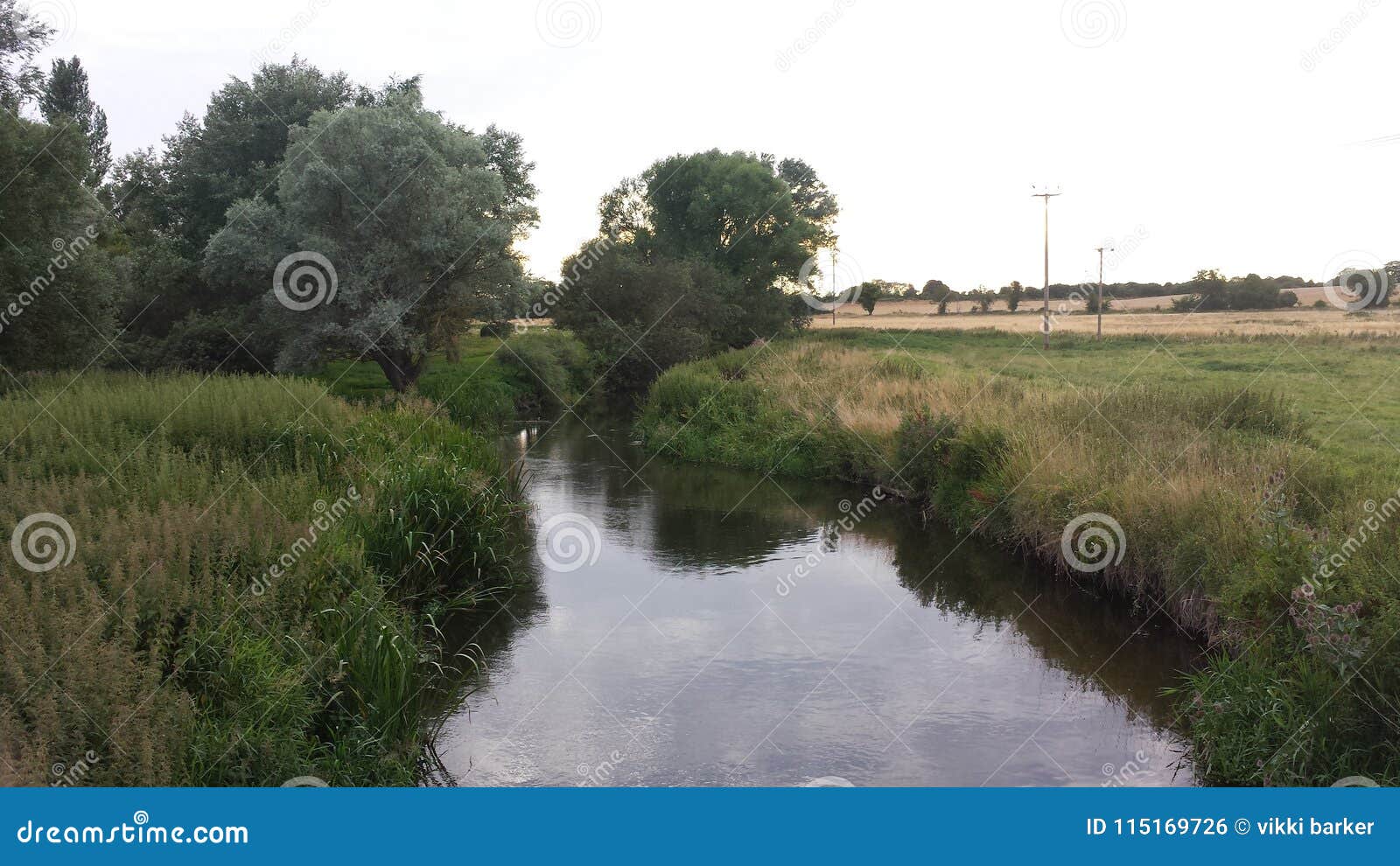 Norfolk streams stock photo. Image of scenery, norfolk - 115169726