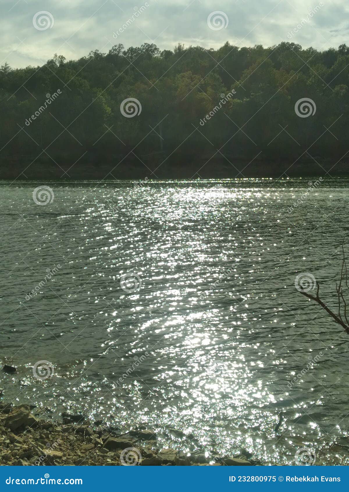 Norfork River stock image. Image of sunlight, branch - 232800975
