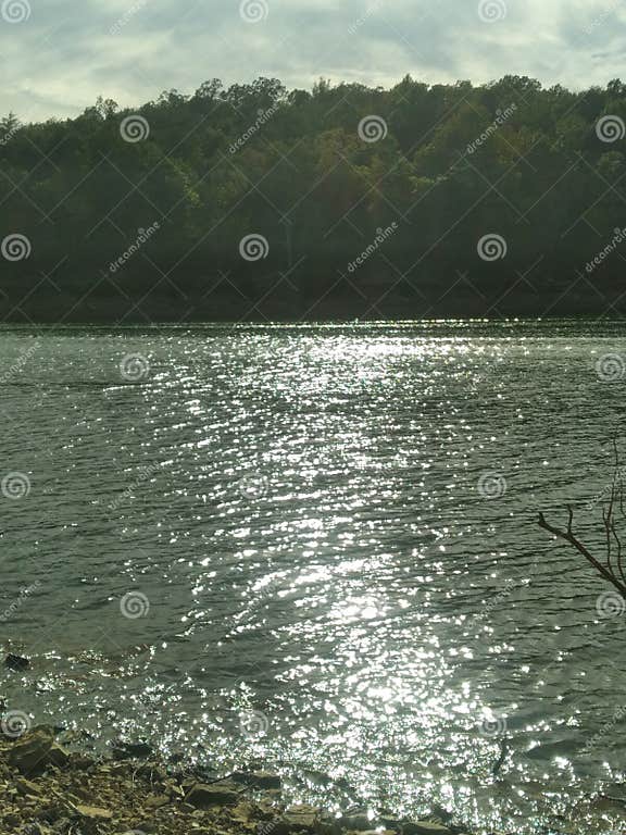 Norfork River stock image. Image of sunlight, branch - 232800975