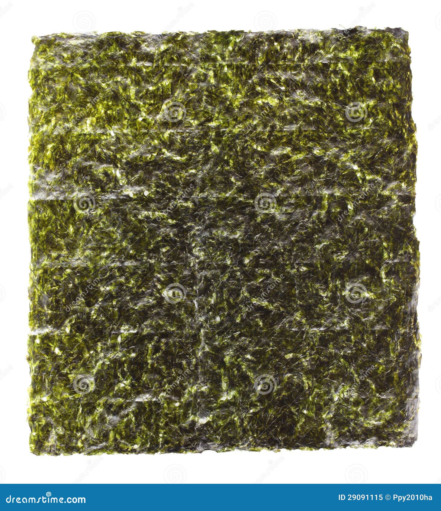 Nori, japanese food stock image. Image of japanese, ingredient - 29091115