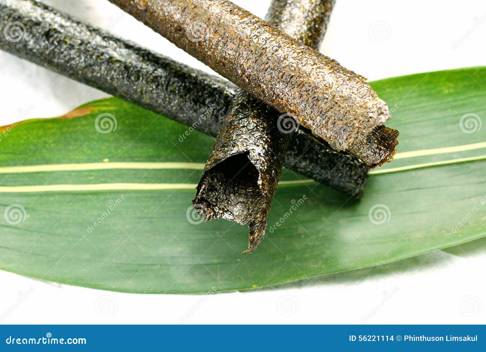 Nori sheets and roll. stock photo. Image of japan, cuisine - 56221114