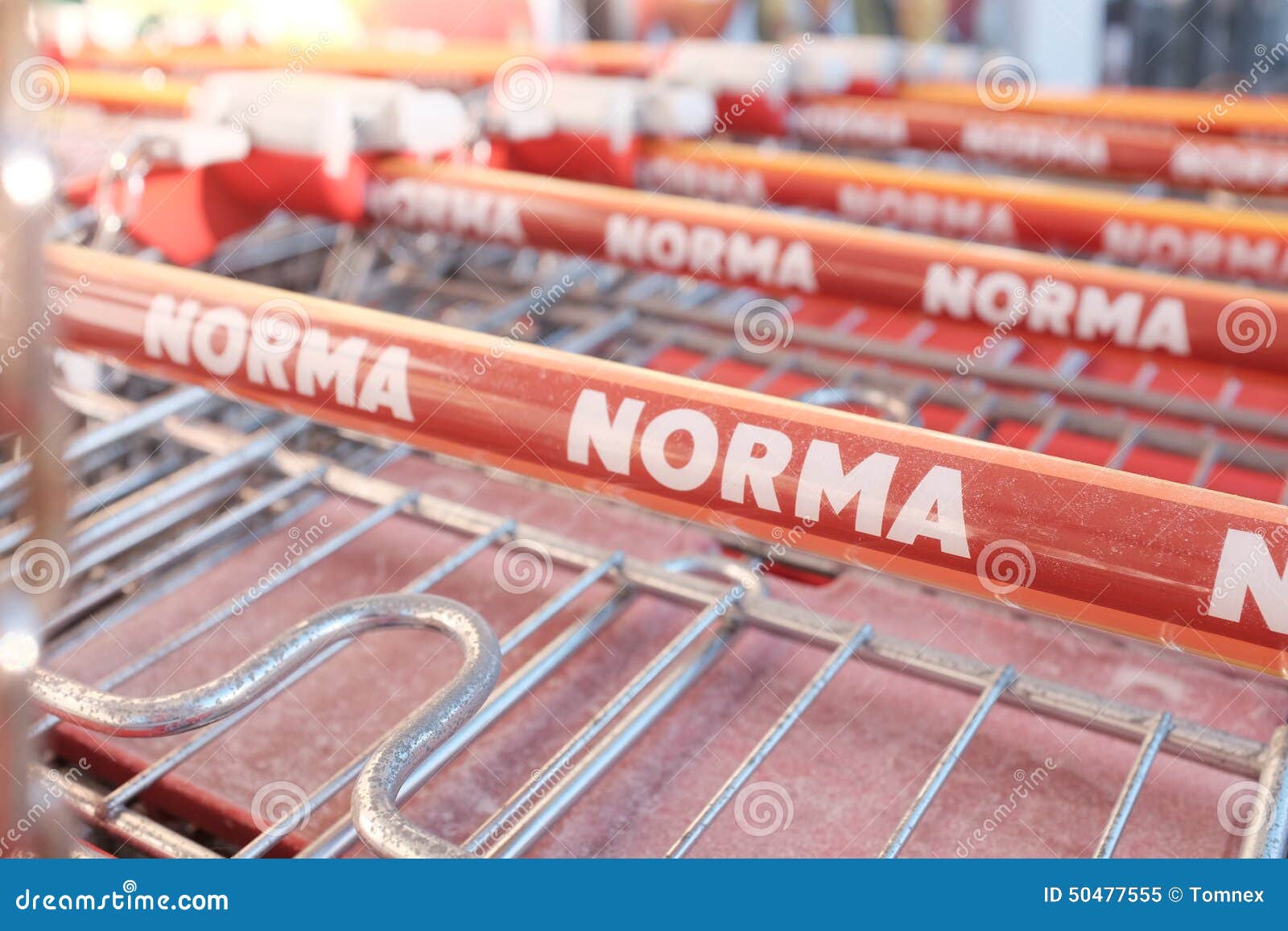 Norma Shopping Carts Editorial Photo | CartoonDealer.com #52484267