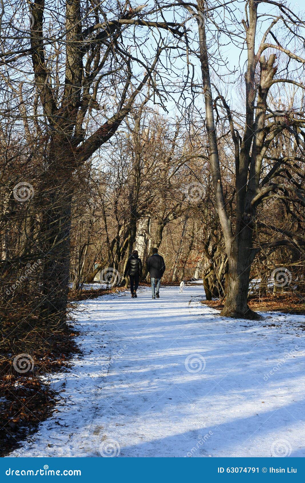 Normafa à Budapest, Hongrie, 2015 Photo éditorial - Image du fond ...