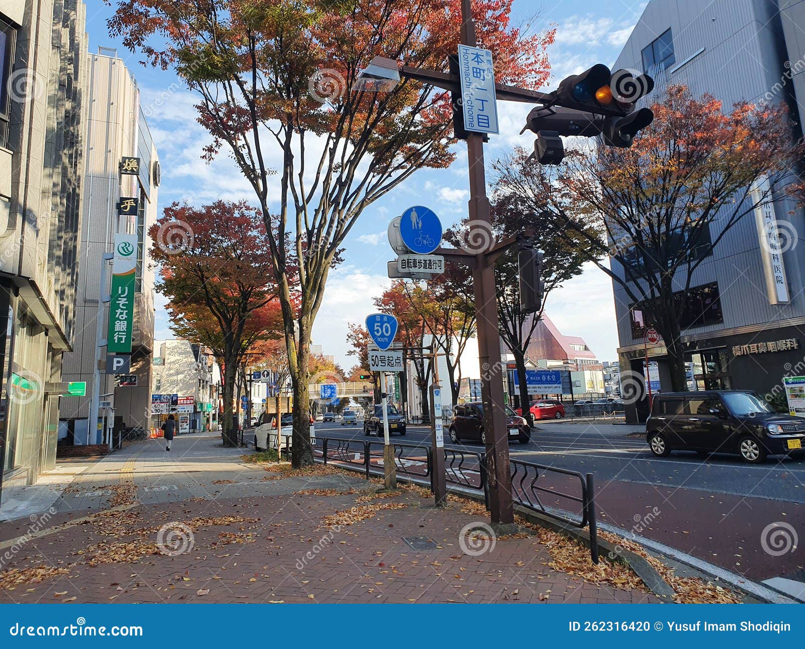 A Normal Autumn Day of Maebashi Editorial Image - Image of tree, normal ...