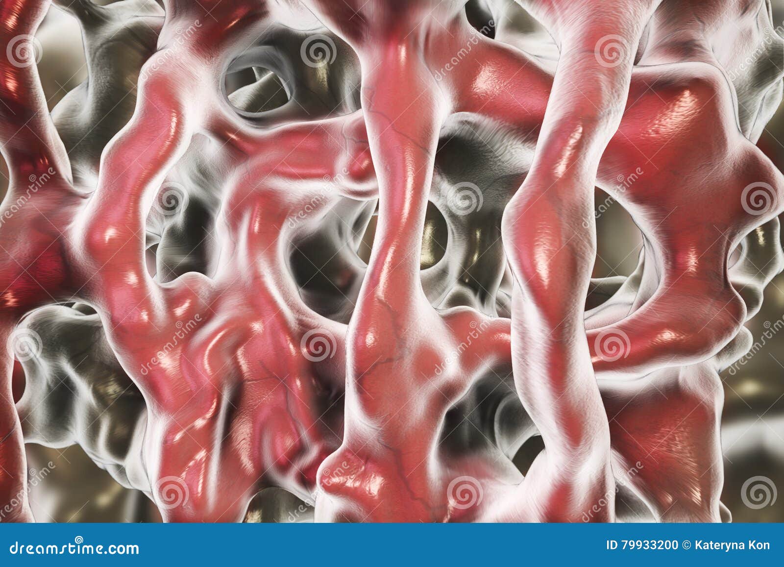 Normal bone illustration stock illustration. Illustration of trabeculae ...