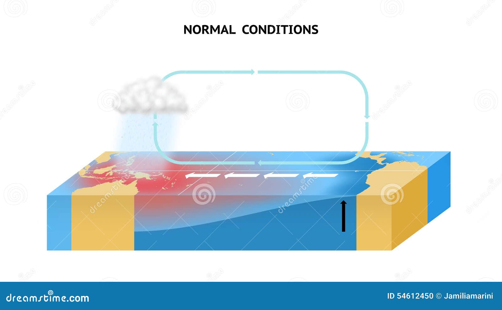 Normal Conditions in the Equatorial Pacific Ocean Stock Illustration ...