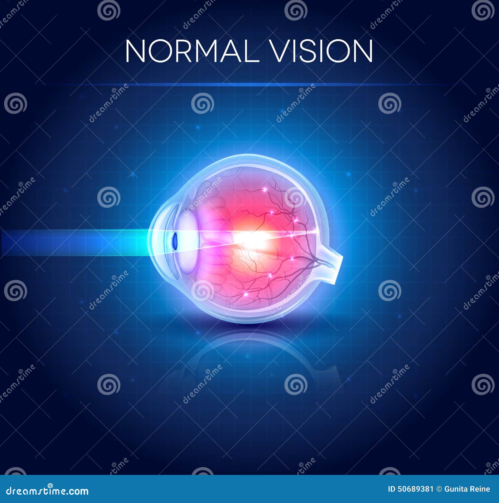 Eyeball And Normal Vision Isolated Line Icon, Ophthalmology Vector ...