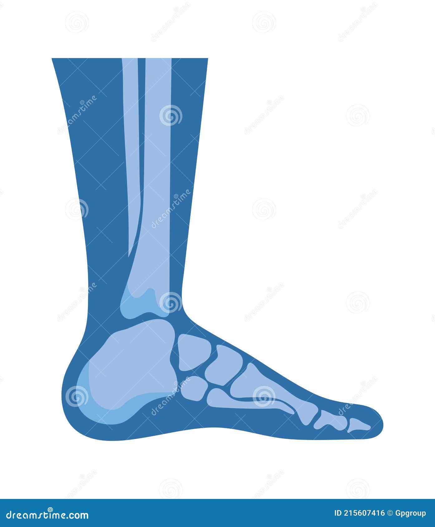 Normal Feet And Skin Diagram Illustration. Maintain The Balance Of ...
