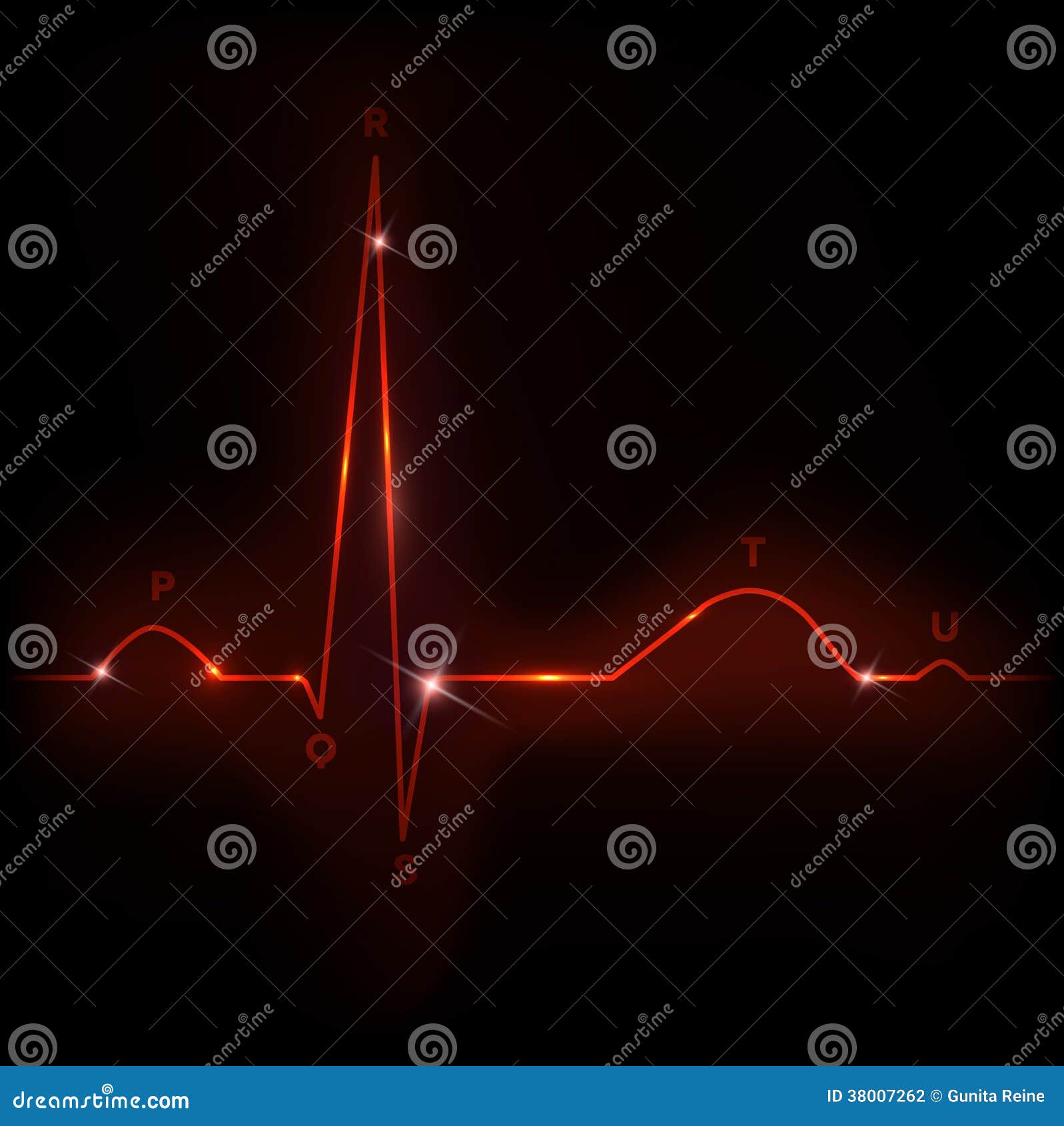 Normal heart cardiogram stock vector. Illustration of artery - 38007262