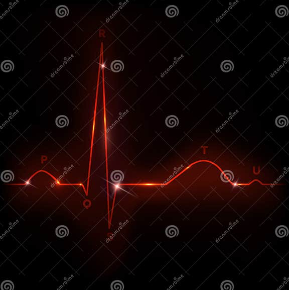 Normal heart cardiogram stock vector. Illustration of artery - 38007262