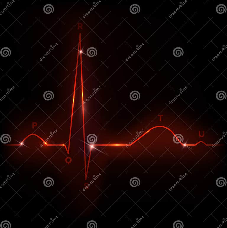 Normal heart cardiogram stock vector. Illustration of artery - 38007262