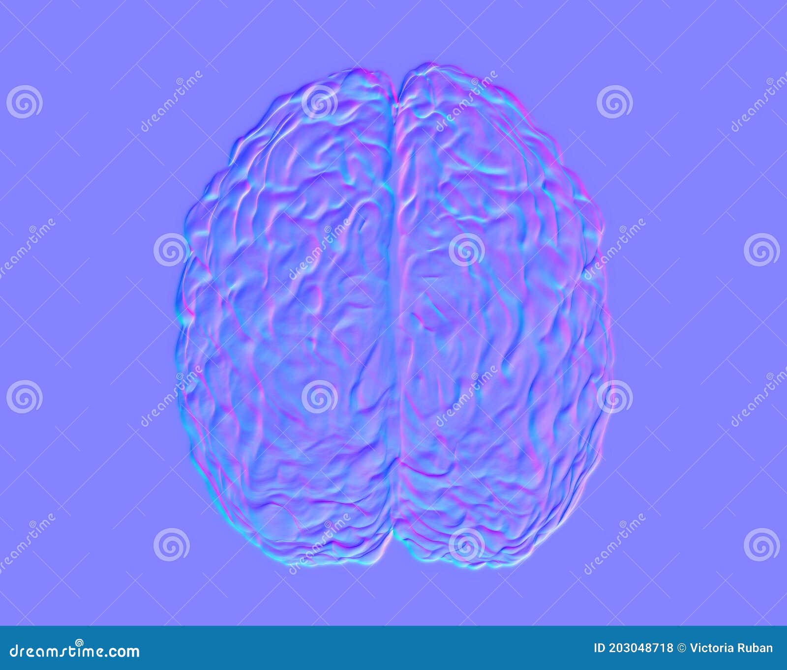 Normal Map of Human Brain Model, Texture for Use in 3D Programs Stock ...
