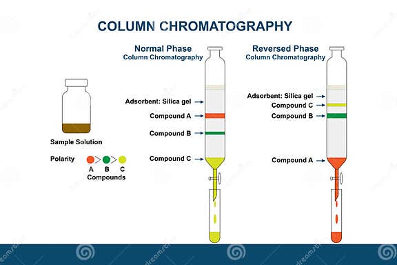 Normal Phase and Reversed-Phase Column Chromatography Stock ...