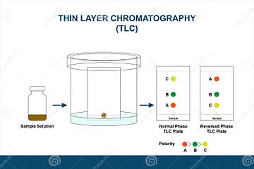 Normal Phase and Reversed-Phase Thin Layer Chromatography Plates Stock ...