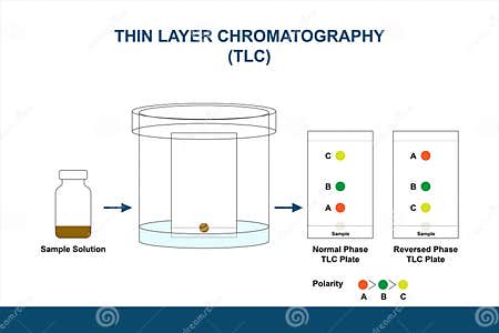 Normal Phase and Reversed-Phase Thin Layer Chromatography Plates Stock ...