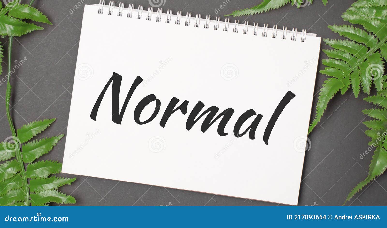 Normal Text with Real Leaves Tropical Jungle Background.flat Lay Design ...