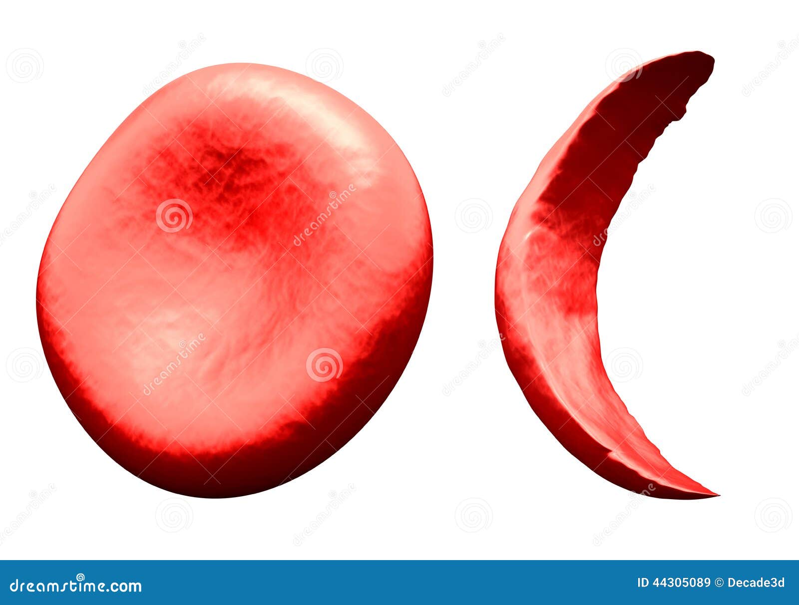 Normal Vs Sickle Red Blood Cell Stock Illustration - Image: 44305089