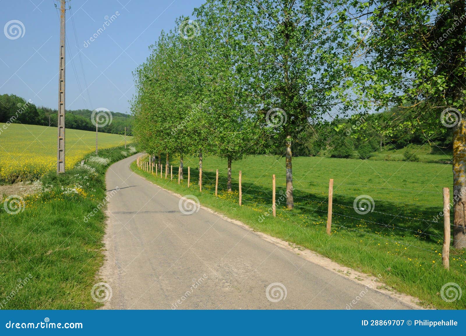 Normandie, Countryside in Lisors Stock Image - Image of france, lisors ...