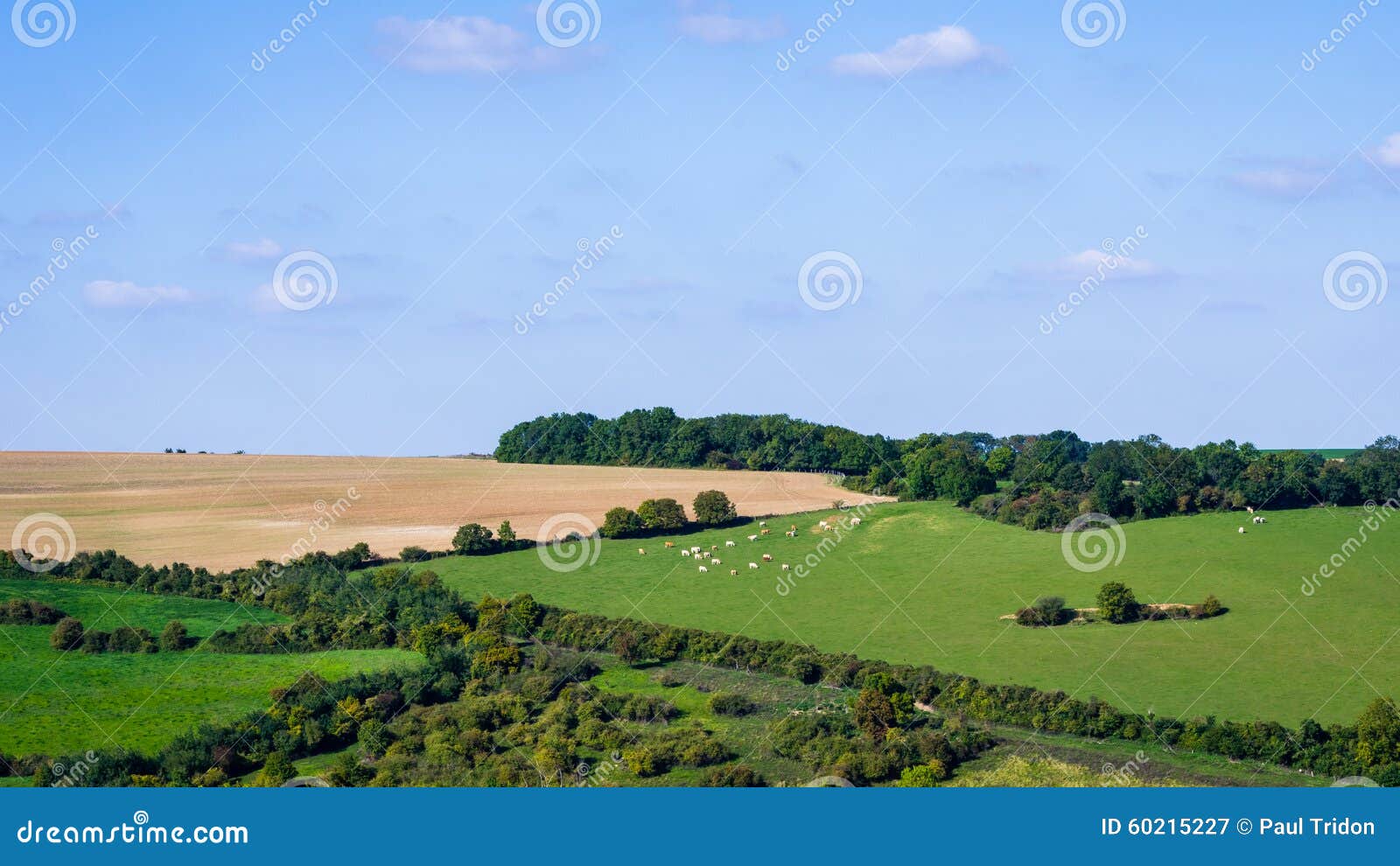 Normandy landscape stock image. Image of beautiful, natural - 60215227
