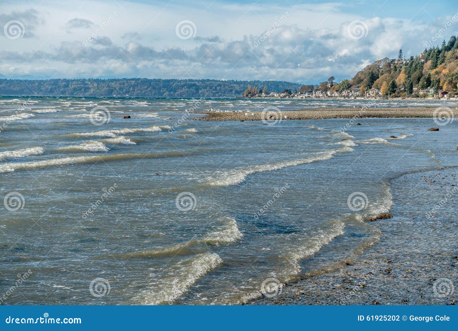 Normandy Park Shoreline 3 stock photo. Image of ocean - 61925202