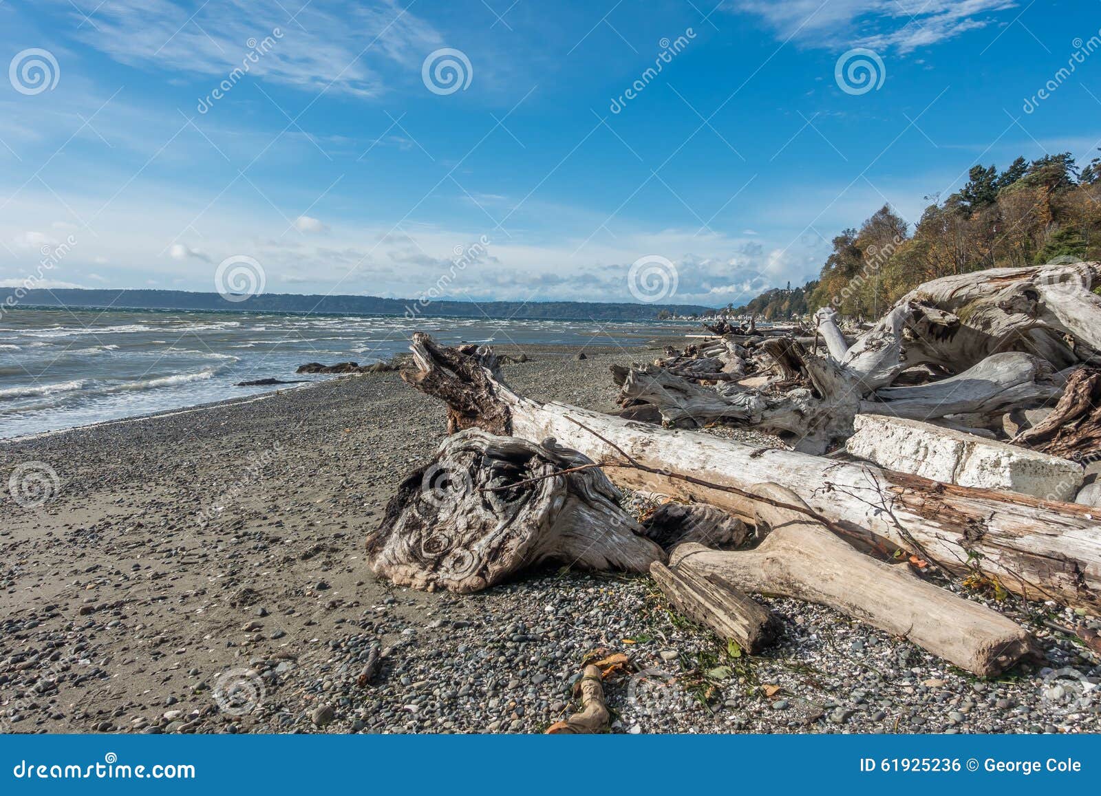Normandy Park Shoreline stock photo. Image of normandy - 61925236