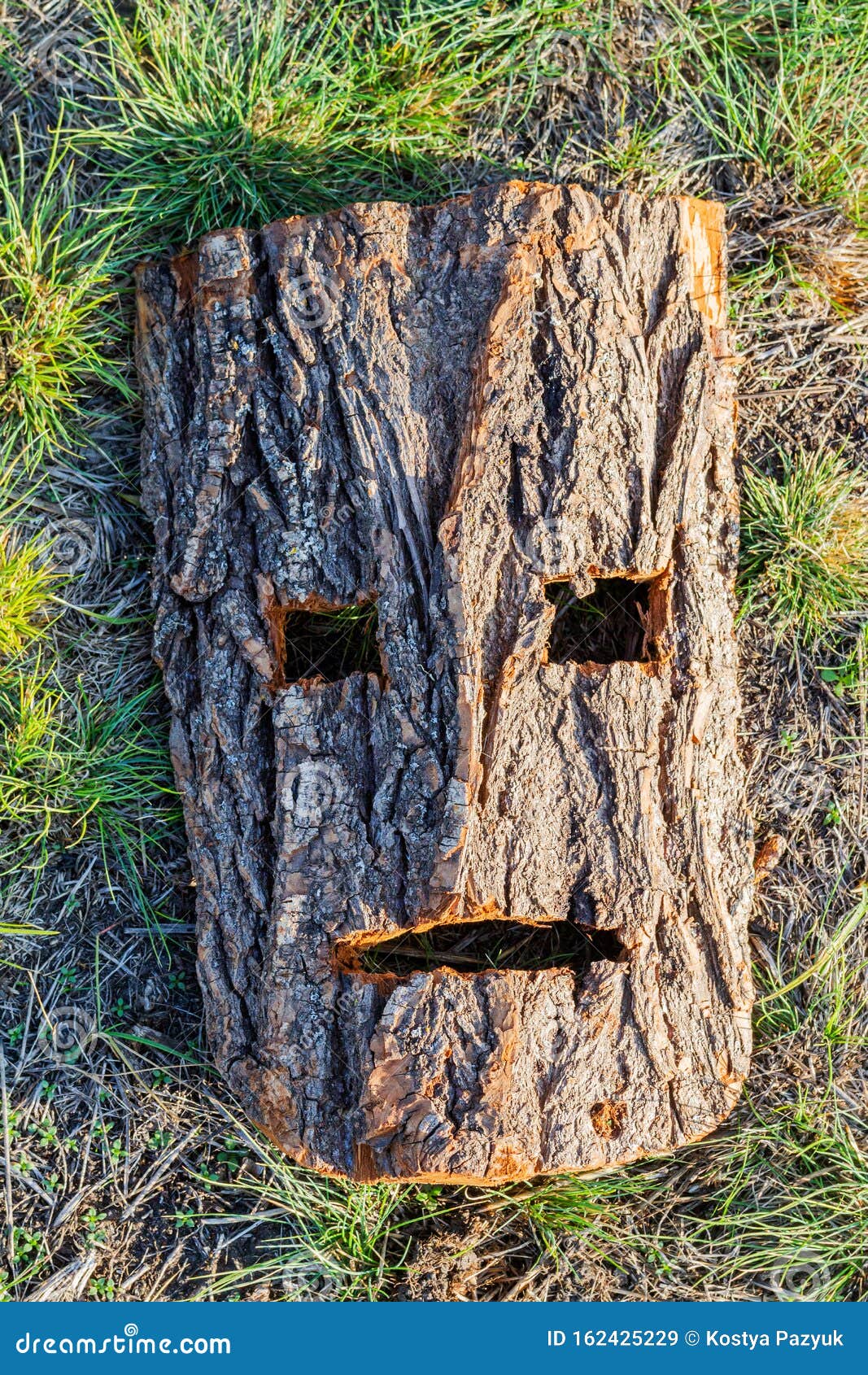 Norse God Loki Mask Carved from the Bark Stock Image - Image of green ...