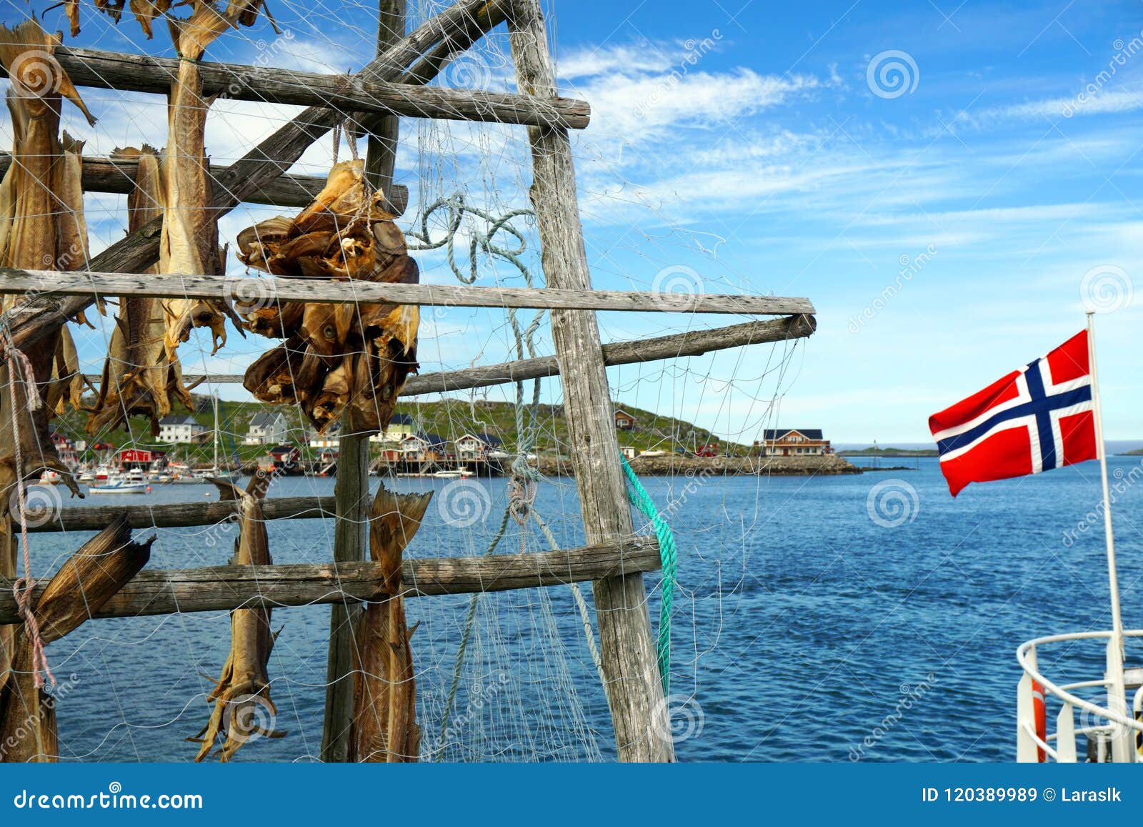 Norsk traditionell lutfisk fotografering för bildbyråer. Bild av archy ...