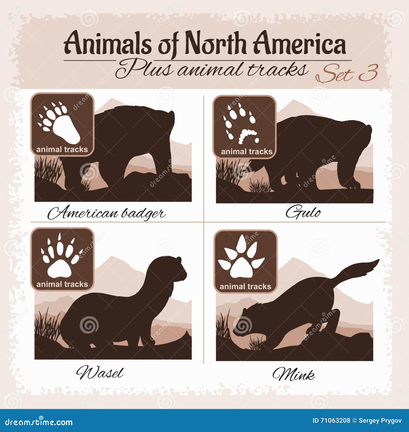 North America Animals and Animal Tracks, Footprints. Stock Vector ...